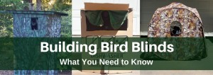 Building Bird Blinds–What You Need to Know