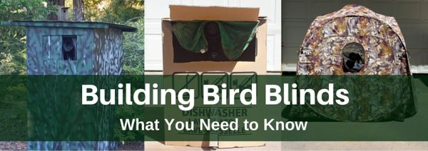 Building Bird Blinds–What You Need to Know