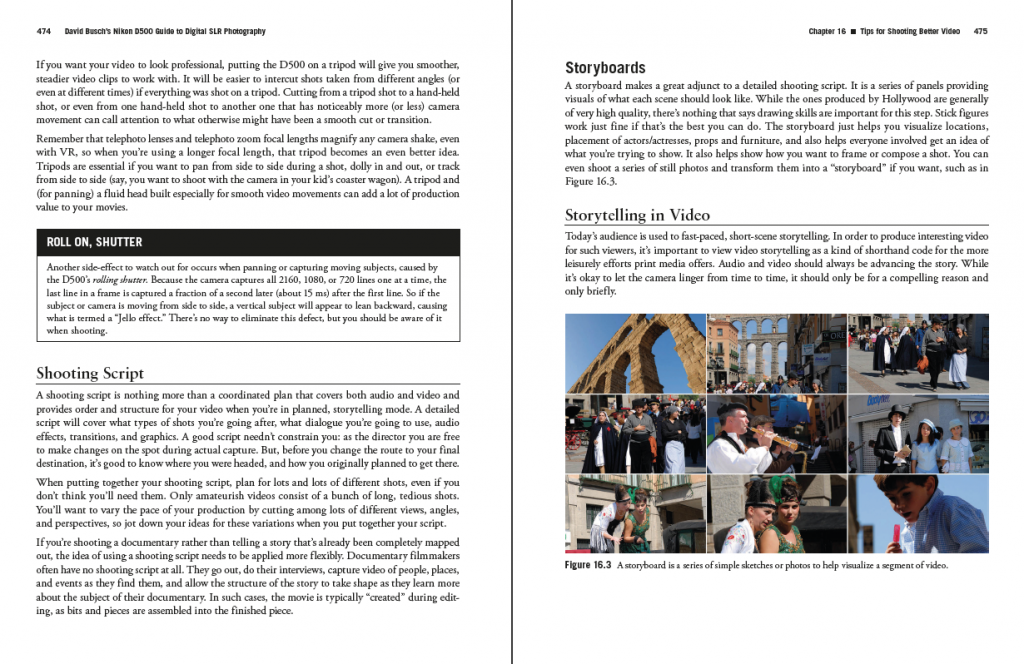 David Buschs Nikon D500 Guide to Digital Photography