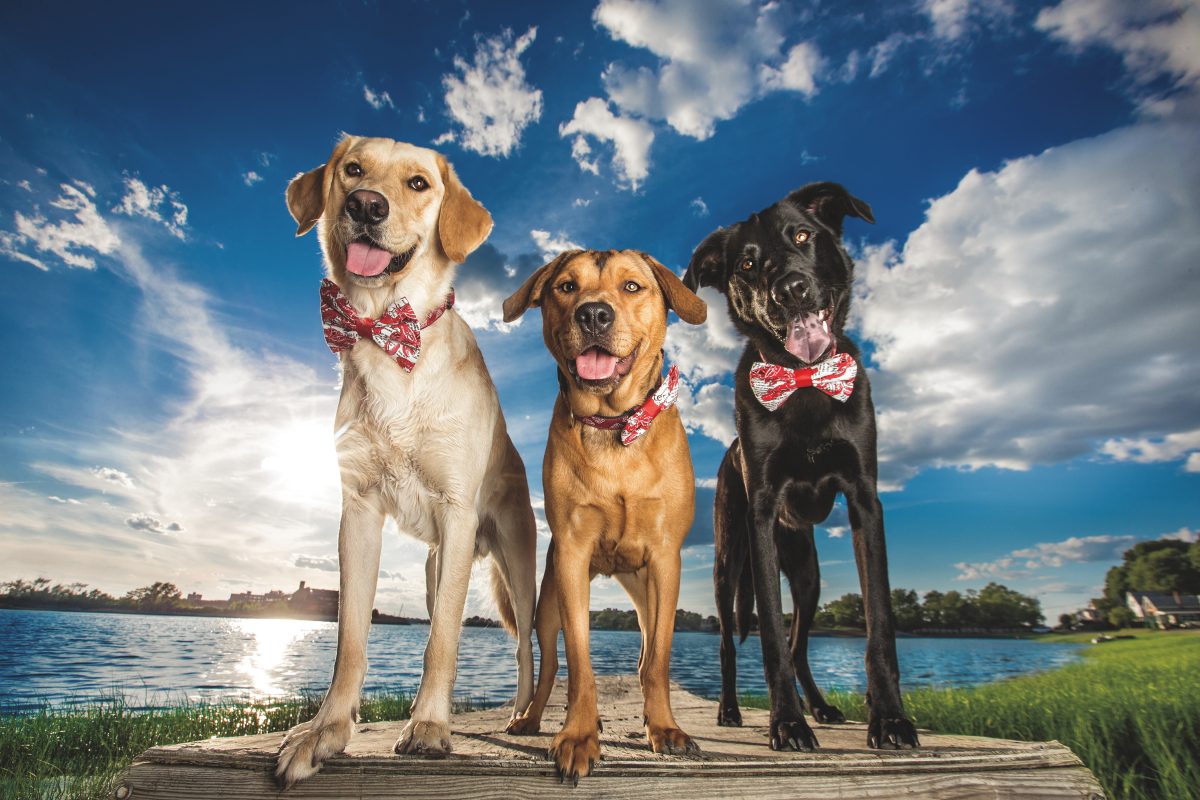 Group Photo Techniques, by Kaylee Greer - RockyNook