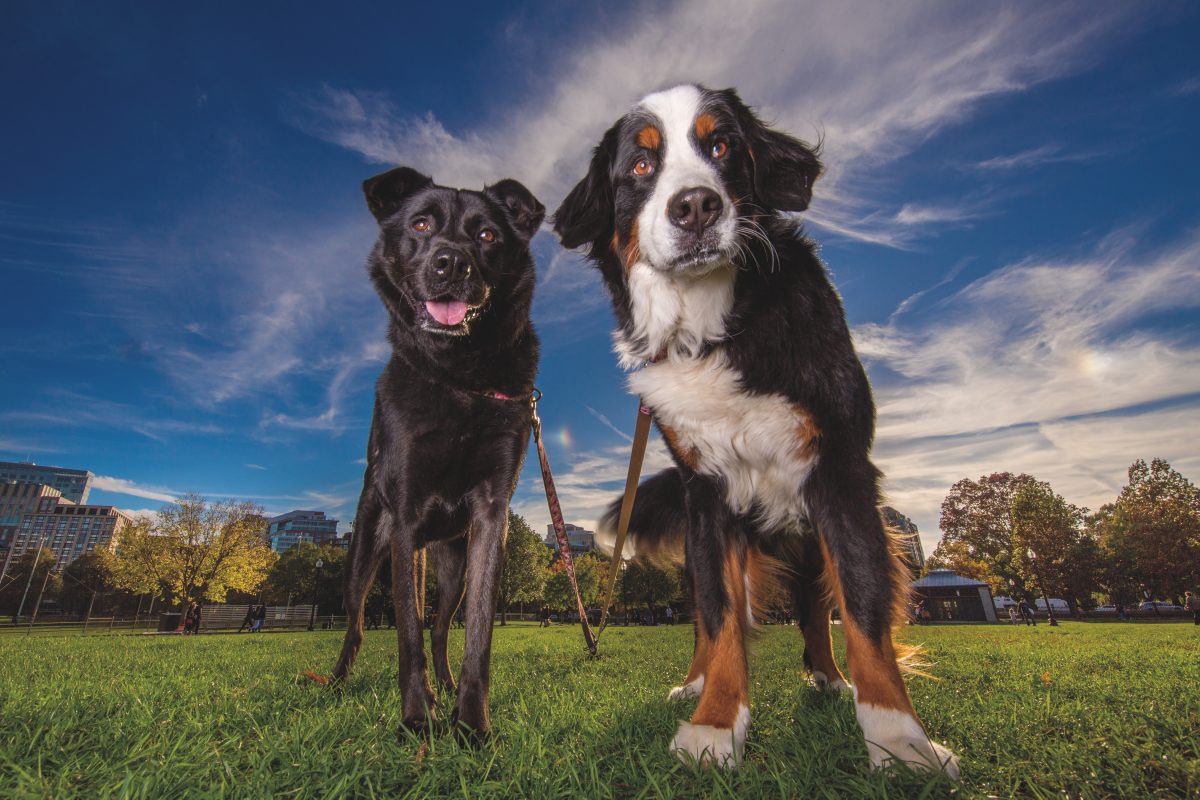 Group Photo Techniques, by Kaylee Greer - RockyNook