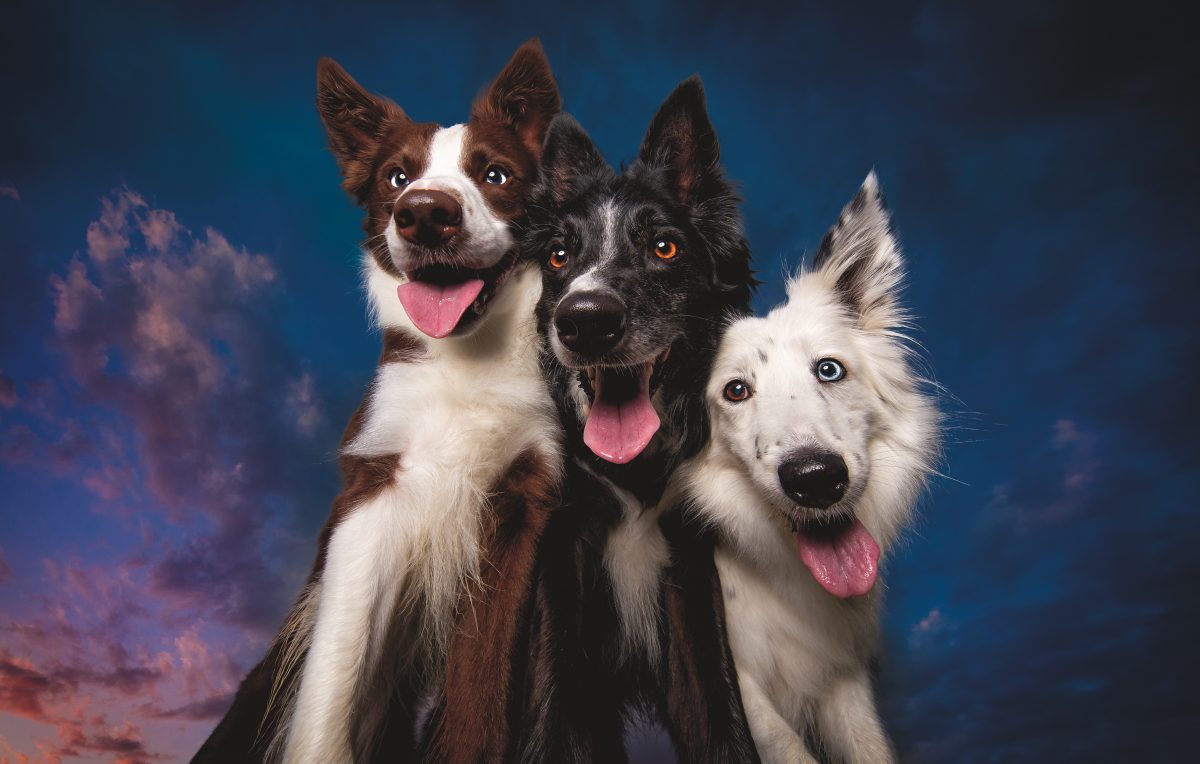Group Photo Techniques, by Kaylee Greer - RockyNook