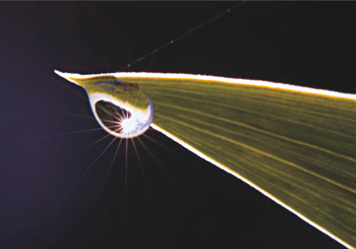 How to Photograph Water Droplets - RockyNook