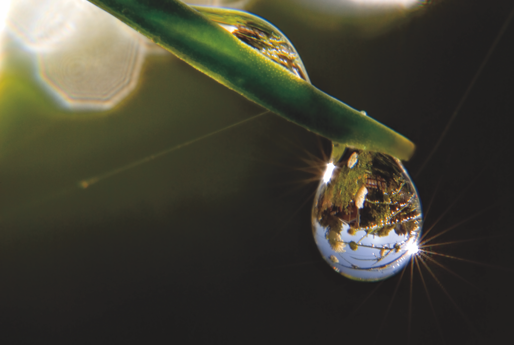 How to Photograph Water Droplets - RockyNook