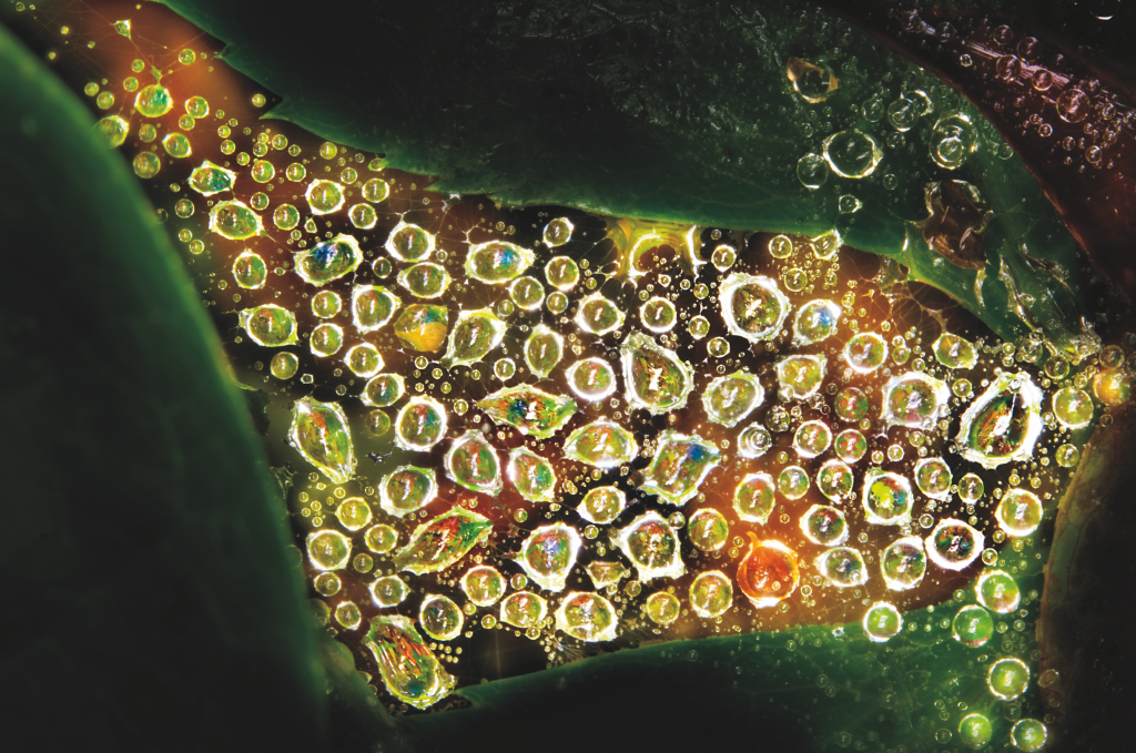 How to Photograph Water Droplets - RockyNook