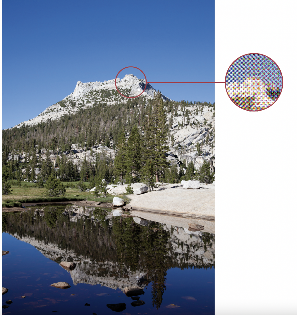 Master The Basics of Scanning Photos - RockyNook
