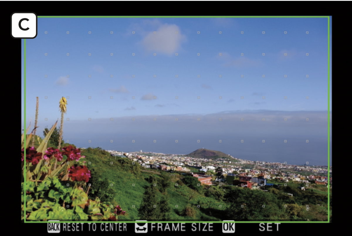 Auto Focus with your Fuji X-T5: Mastering AF-S & AF-C Modes - RockyNook