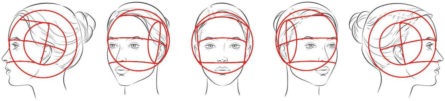 Understanding the Loomis Method To Drawing Portraits - RockyNook
