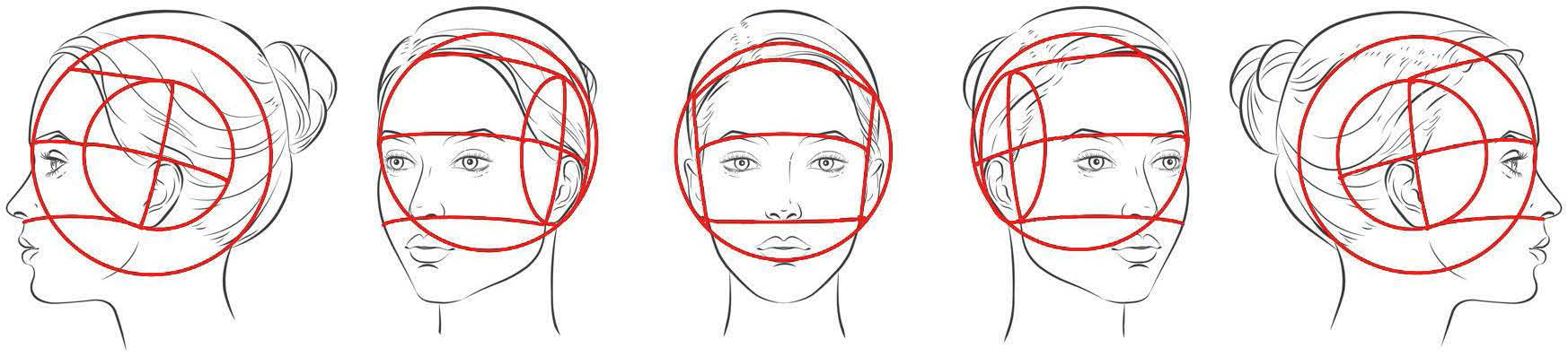 Understanding the Loomis Method To Drawing Portraits - RockyNook