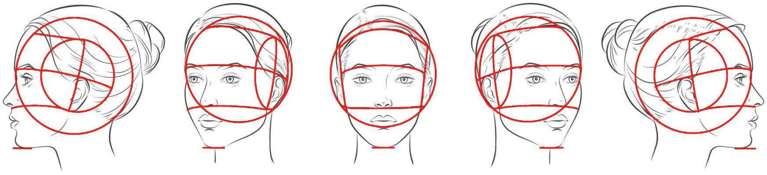 Understanding the Loomis Method To Drawing Portraits - RockyNook