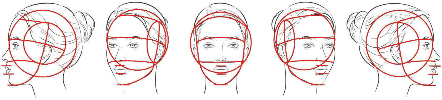 Understanding the Loomis Method To Drawing Portraits - RockyNook