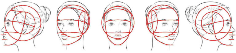Understanding the Loomis Method To Drawing Portraits - RockyNook