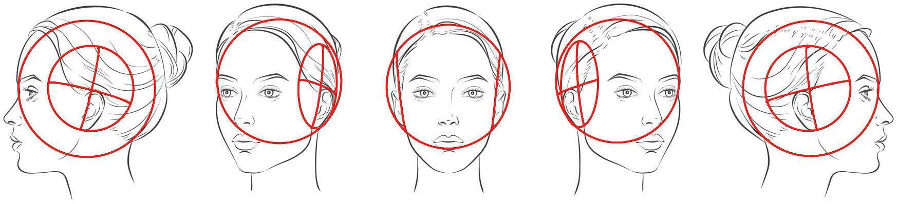 Understanding the Loomis Method To Drawing Portraits - RockyNook
