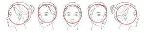Understanding the Loomis Method To Drawing Portraits - RockyNook