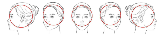 Understanding the Loomis Method To Drawing Portraits - RockyNook