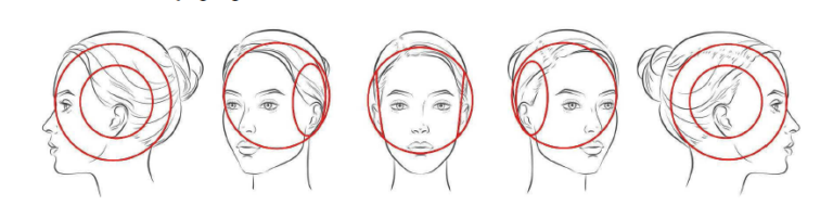 Understanding the Loomis Method To Drawing Portraits - RockyNook